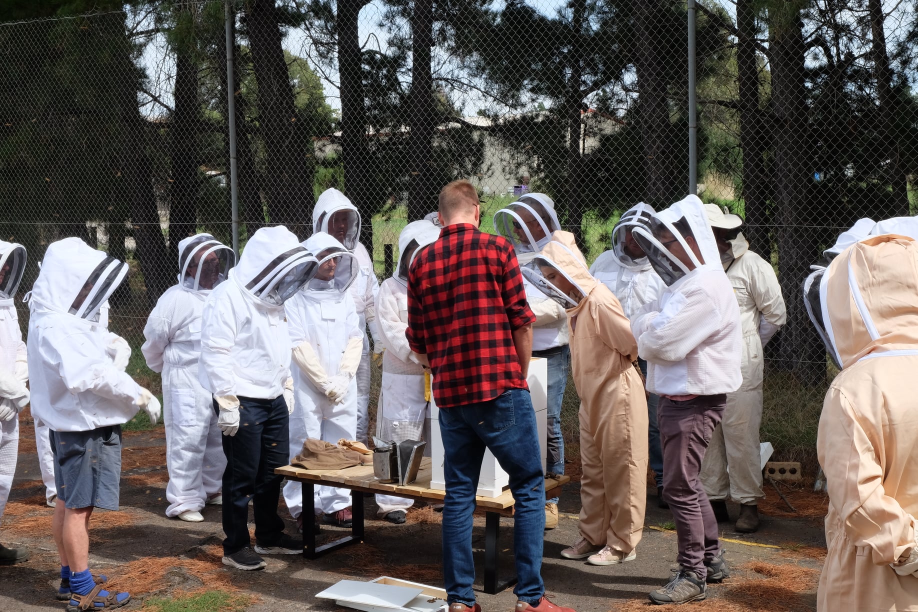J Beekeeping Club – Hume Shire and surrounds beekeeping Club